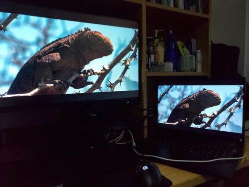 618购物节4K显示器首选——科睿P6 27寸IPS面板千元左右即可入手_-泡泡网