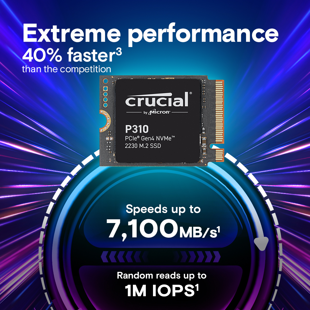  P310 2230 PCIe4 0 PC 