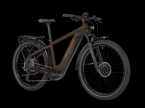 火爆的“新兴交通工具宠儿”E-bike凭啥出圈？-泡泡网